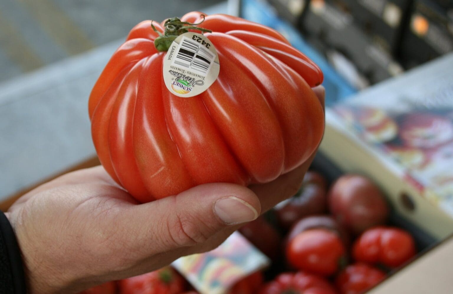 Ingredient of the Day: Heirloom Tomato - Hail Mary Food of Grace